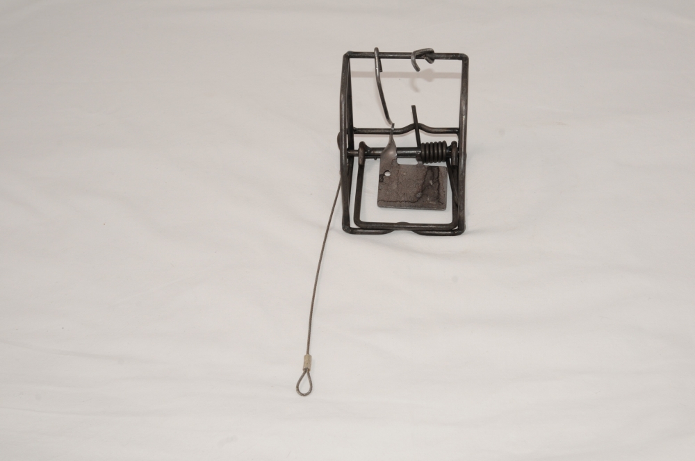 Koro Rodent Trap | Fangstbutikken.no