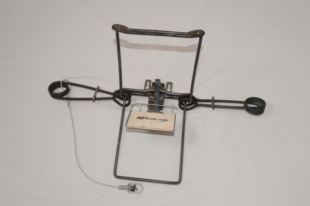 Koro 2 | Fangstbutikken.no