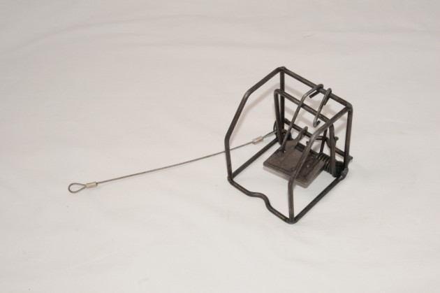 Koro Rodent Trap | Fangstbutikken.no